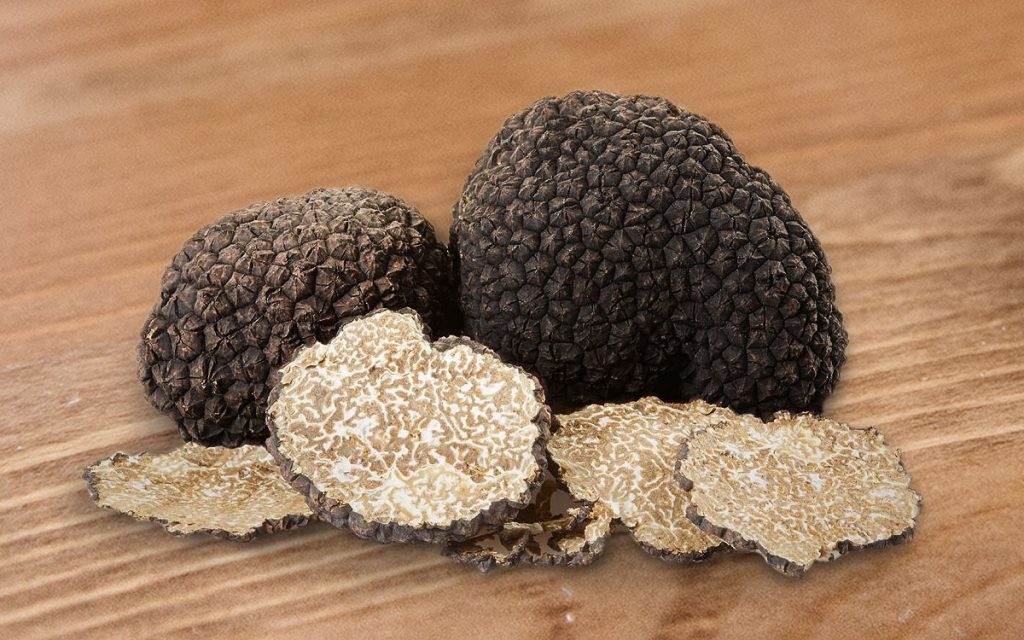 Variedades de trufa - True Feels Co - Trufa de temporada de calidad