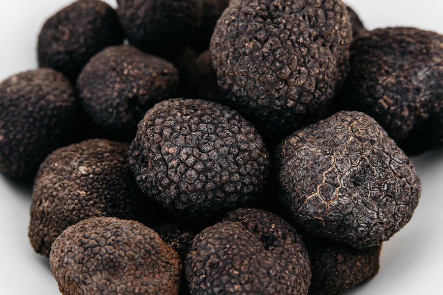 Origen de la trufa - ¿Qué es la trufa? - True Feels Co